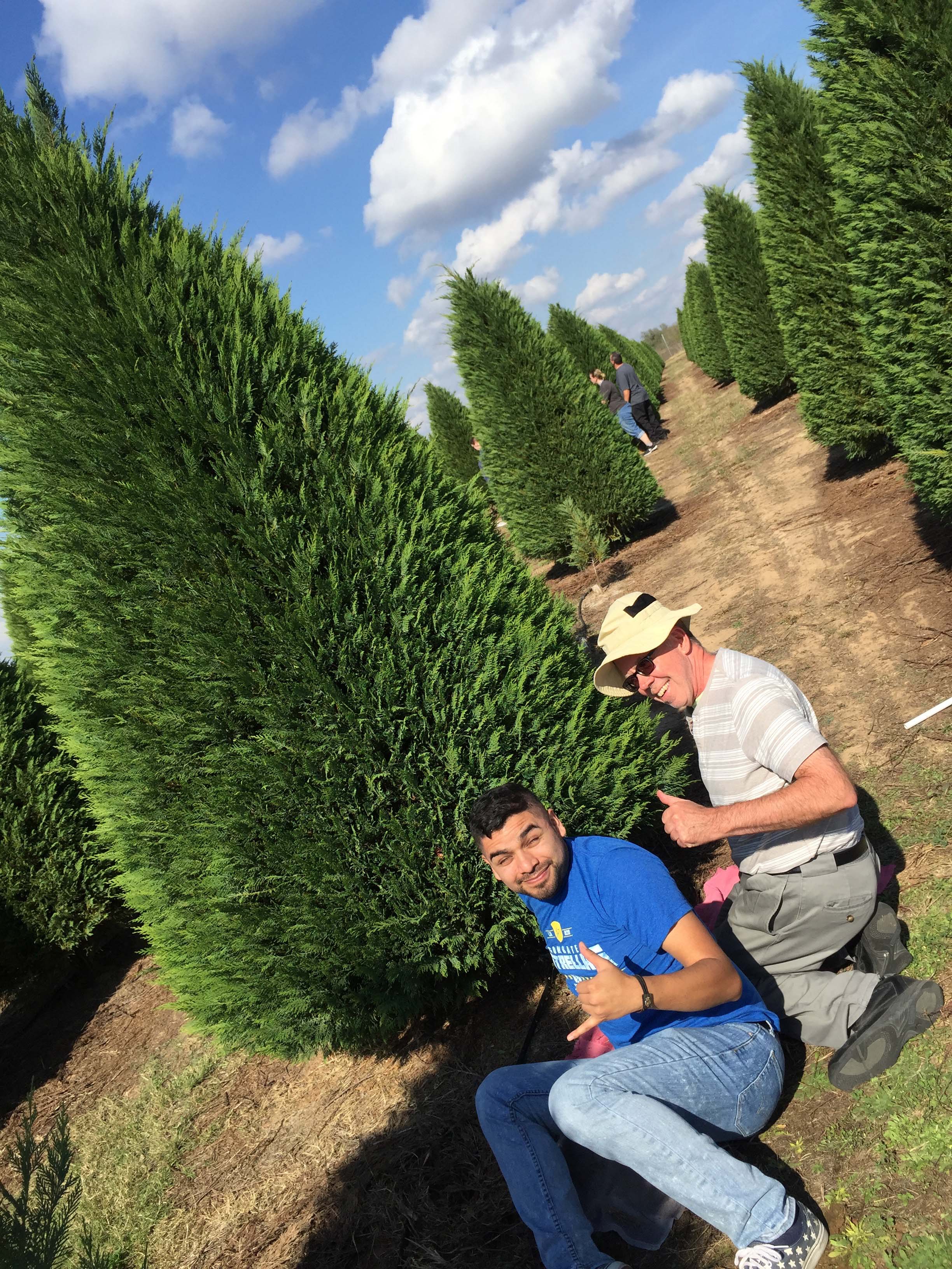 Brothers cut down 10-foot tree for Christmas | Casa Maria Marianists
