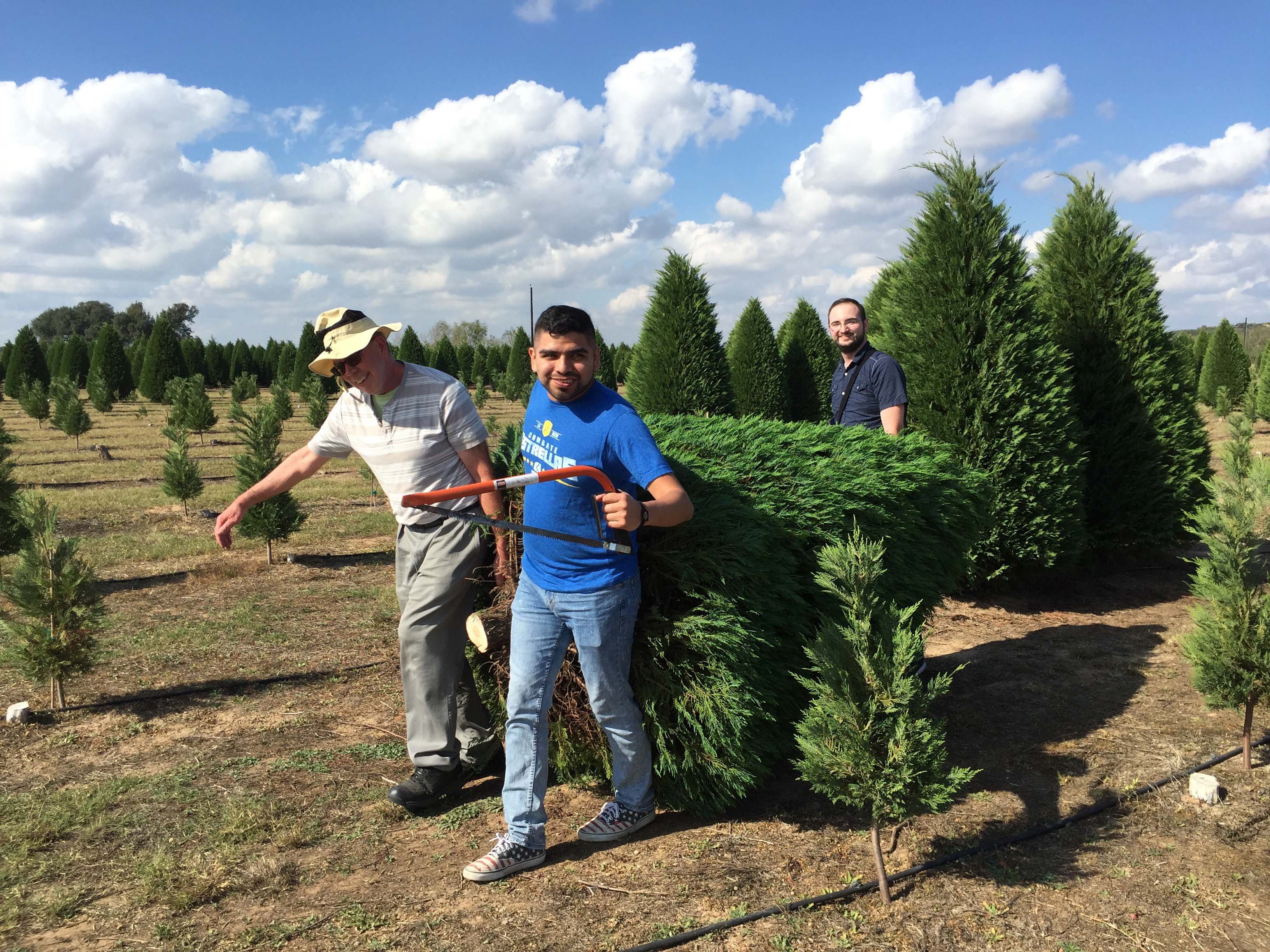 Brothers cut down 10-foot tree for Christmas | Casa Maria Marianists