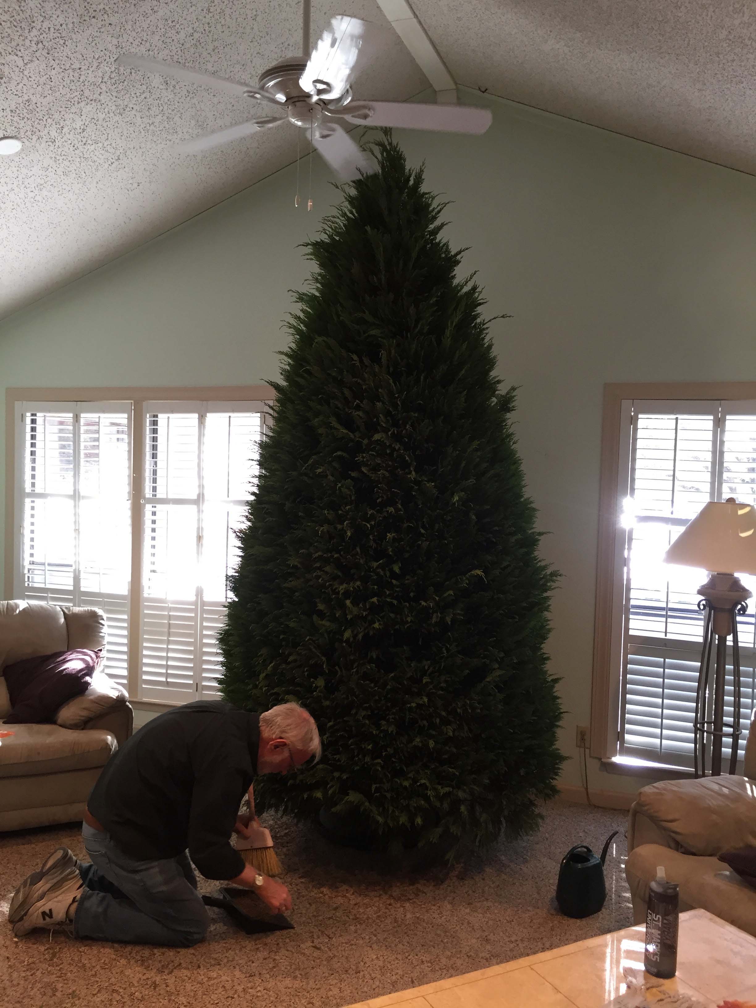 Brothers cut down 10-foot tree for Christmas | Casa Maria Marianists